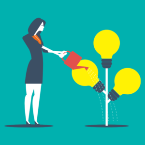 Cyber Advisor - The Cyber Scheme